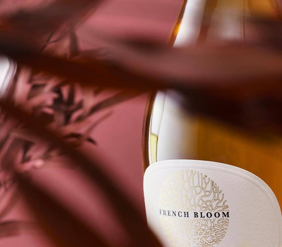 With its sparkling, organic and alcohol -free wine, French Bloom is revolutionizing the aperitif ...